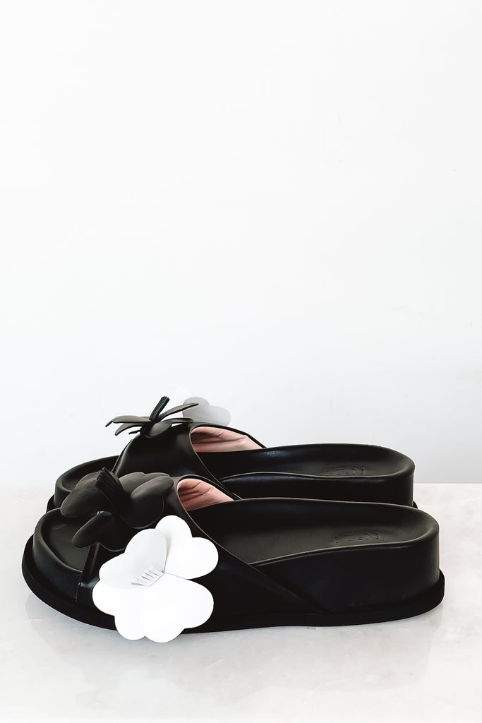 New Arrivals | SUNROOM